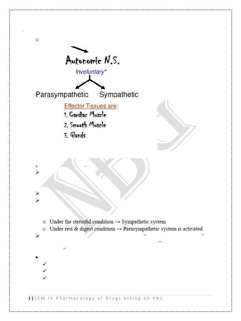 IV 25 PC of Drugs Acting On PNS | PDF | Excitatory Postsynaptic ...