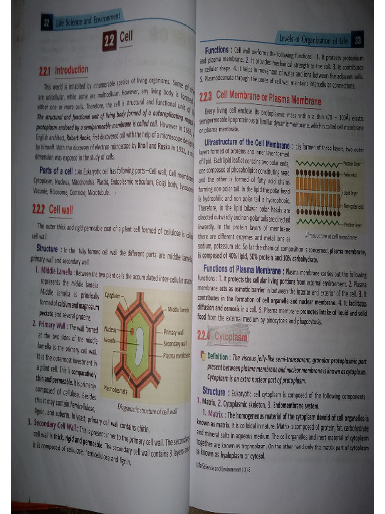 Cell structure (1) | PDF