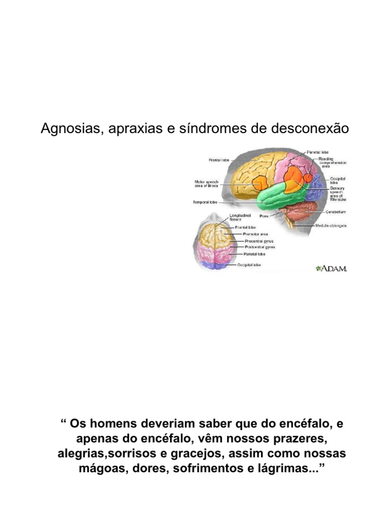 Documento Indecifrável: Texto Criptografado | PDF | Memória | Sistema visual