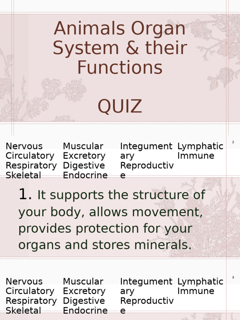 Animals Organ System & Their Functions Quiz | PDF