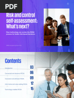 Simple Risk and Control Self-Assessment Template v1.1 | PDF | Risk | Risk Management