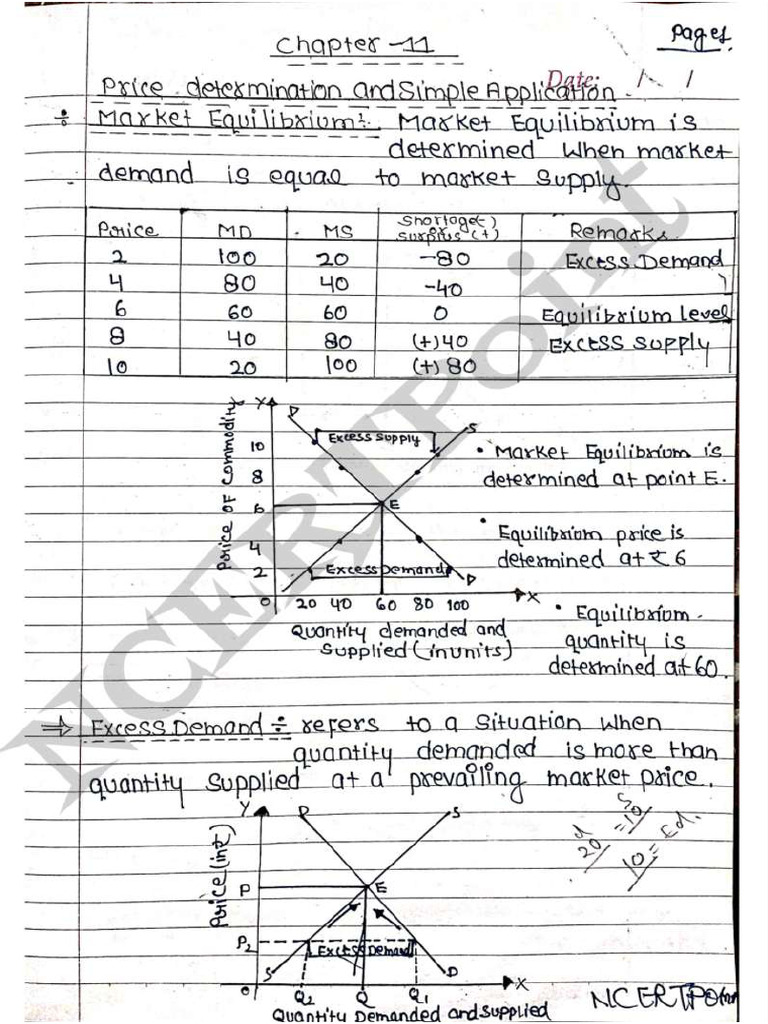Chapter 11 Micro | PDF