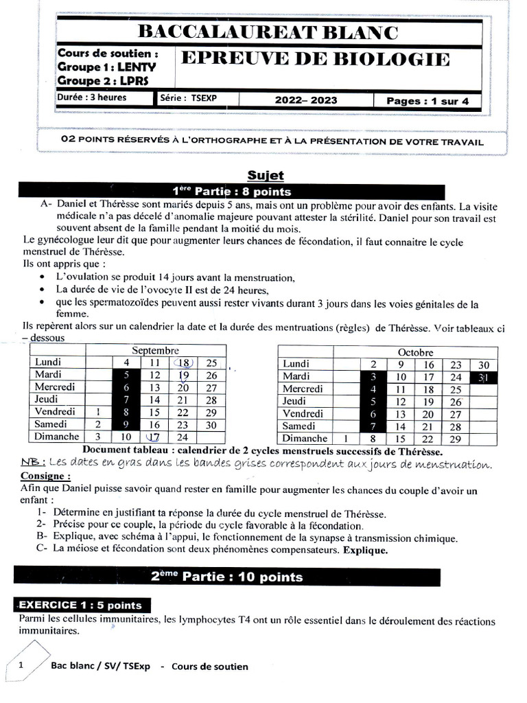 Bac Blanc Lycee TINA 2023 | PDF