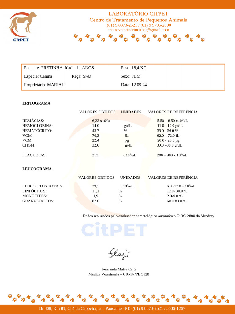 Modelo Hemograma Nega Serena | PDF
