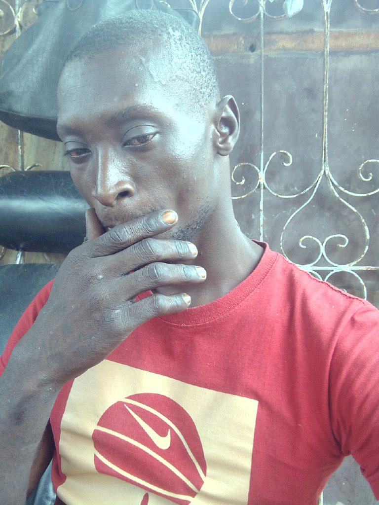 PDF Phoenix 202 | PDF