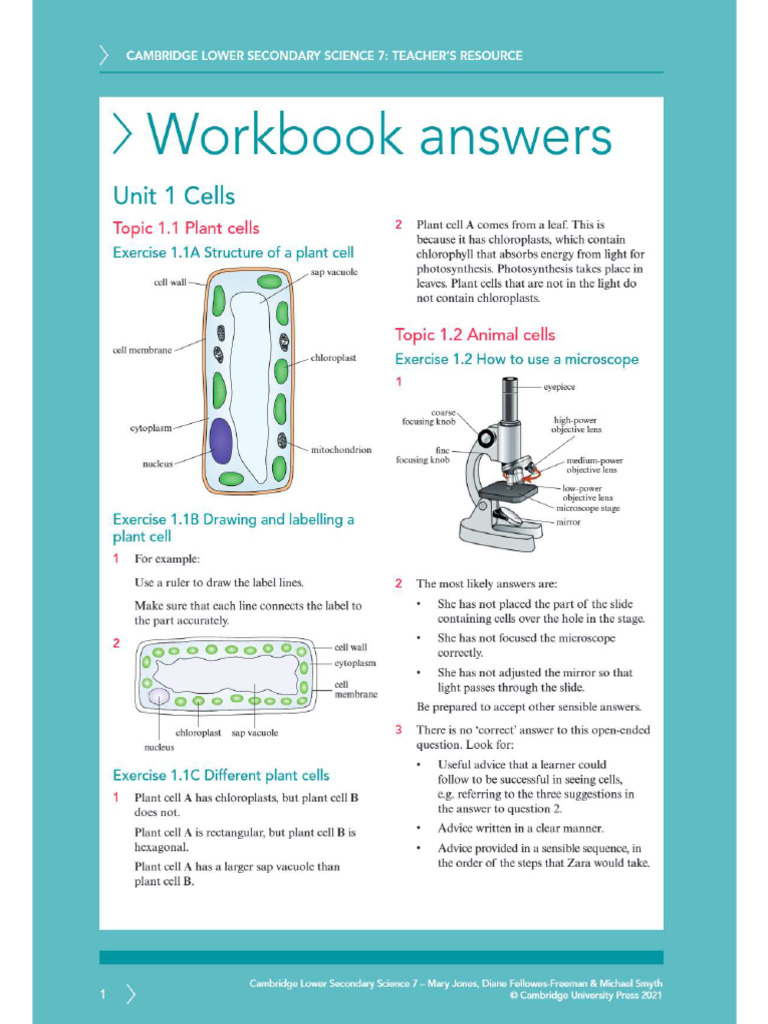 Science 7 Workbook Answers | PDF