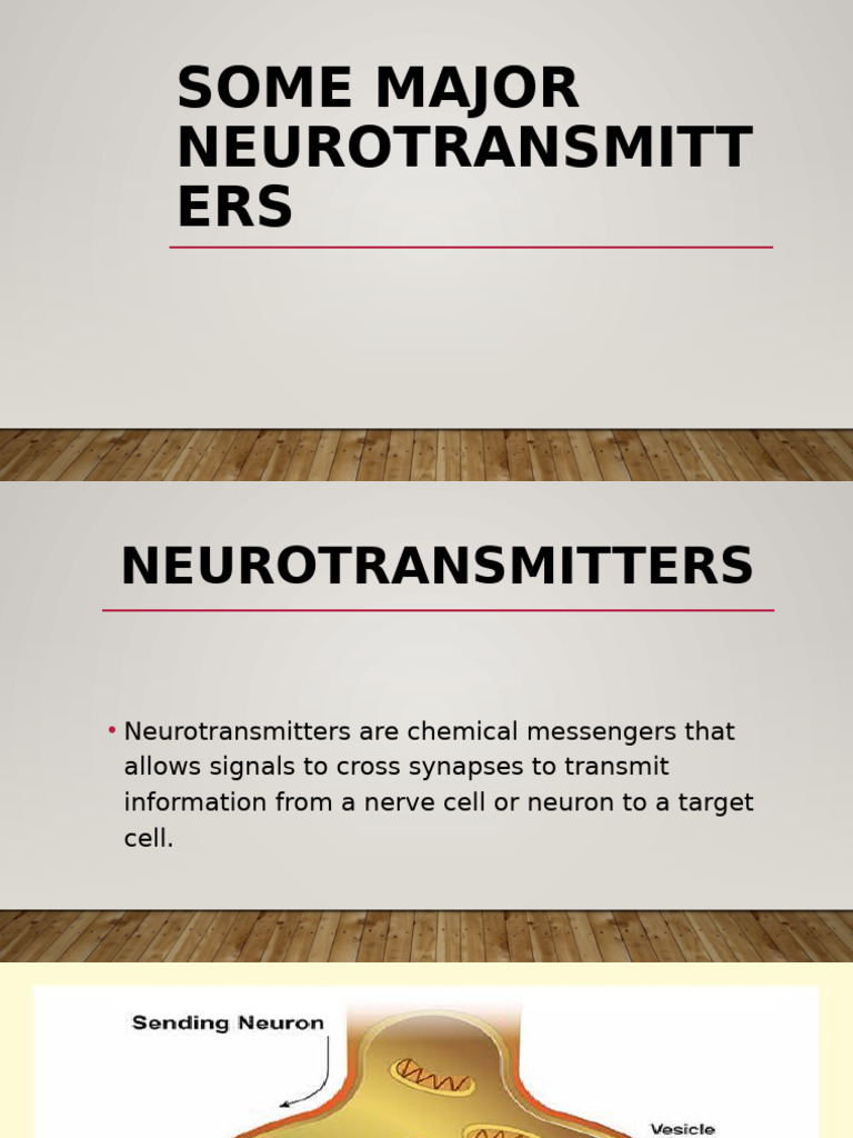 Major Neurotransmitters Explained | PDF | Neurotransmitter | Synapse