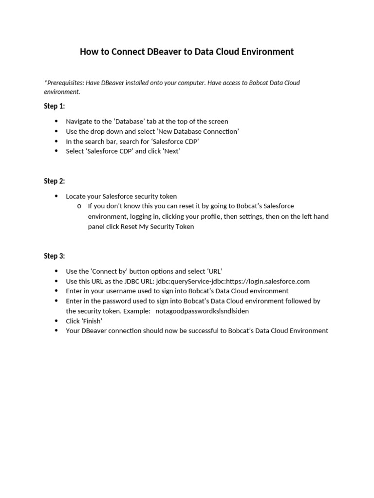 How To Connect DBeaver To Bobcat Data Cloud Environment | PDF