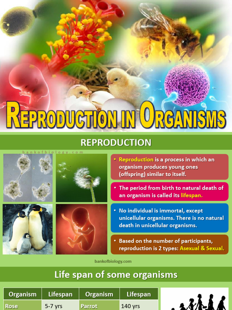 Types of Reproduction in Organisms | PDF | Reproduction | Biology