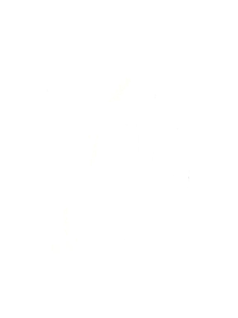 White | PDF