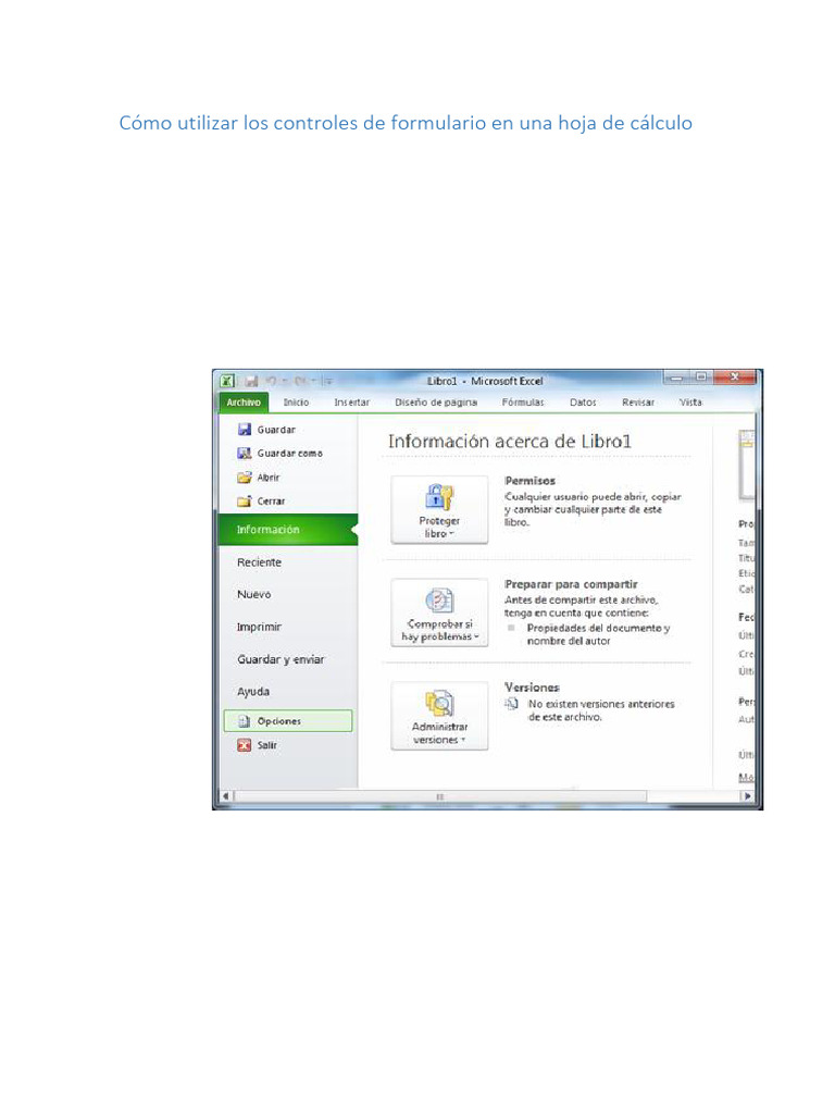 Controles en Formularios | PDF | Botón (Computación) | Microsoft Excel