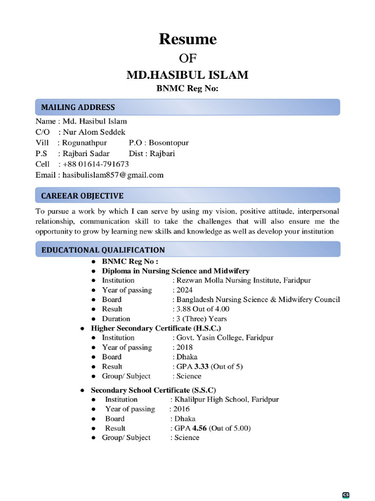 Hasibul CV | PDF