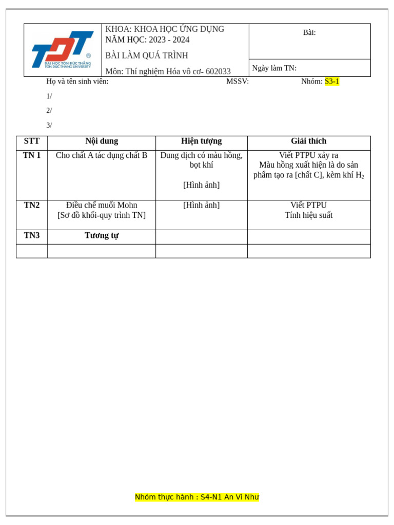 Biểu-mẫu BCTN | PDF