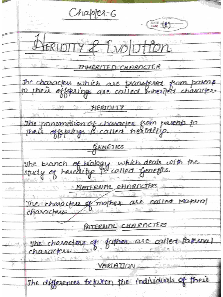 Heredity And Evolution Pdf