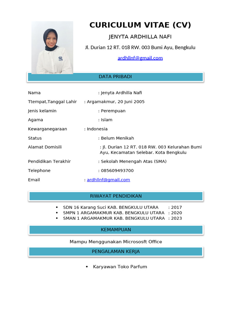 Curiculum Vitae Dilla | PDF