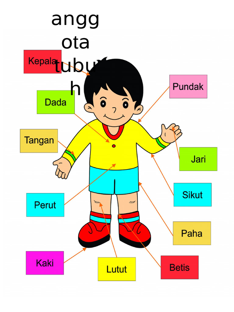 Gambar Anggota Tubuh | PDF
