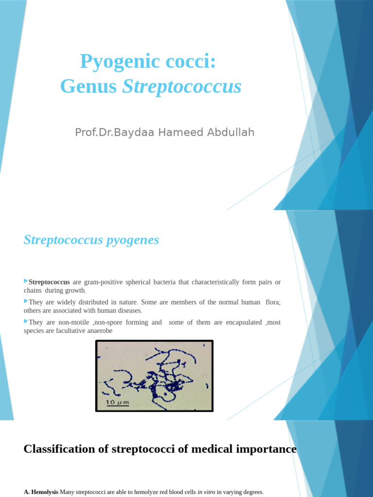 Pyogenic Cocci | PDF | Streptococcus | Medical Specialties