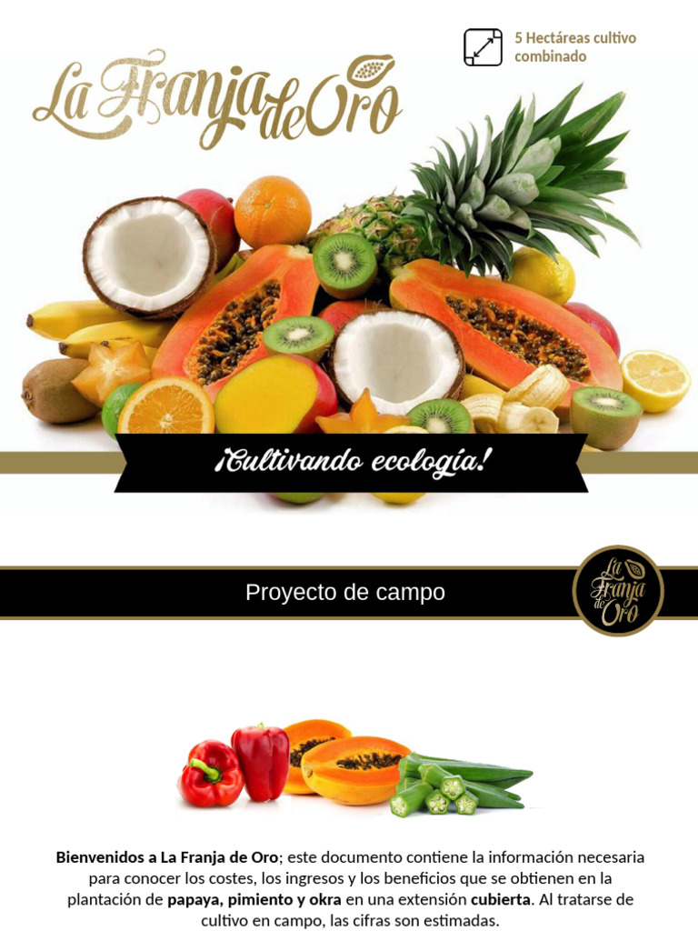 Proyecto 5 Hectareas Combinado Portugal - v1 | PDF | Agricultura