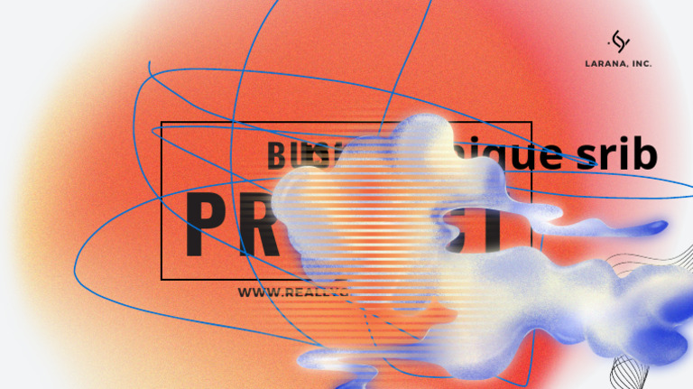 Larana, Inc. Business Project Overview | PDF