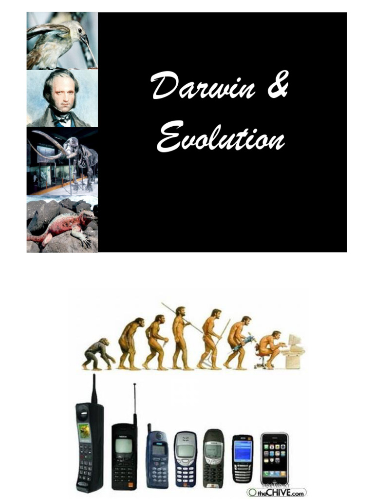 2_Darwin and Evolution | PDF | Evolution | Natural Selection