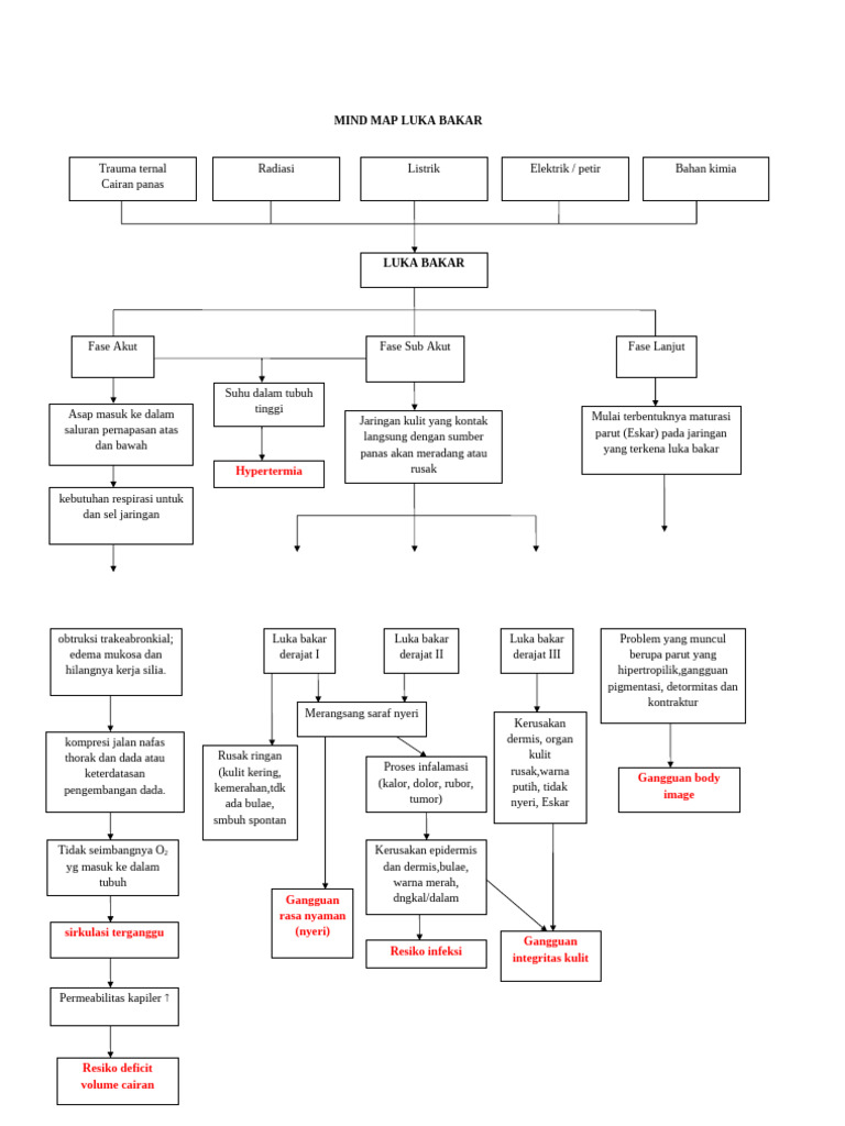 MIND MAP LUKA BAKAR kel 3 | PDF