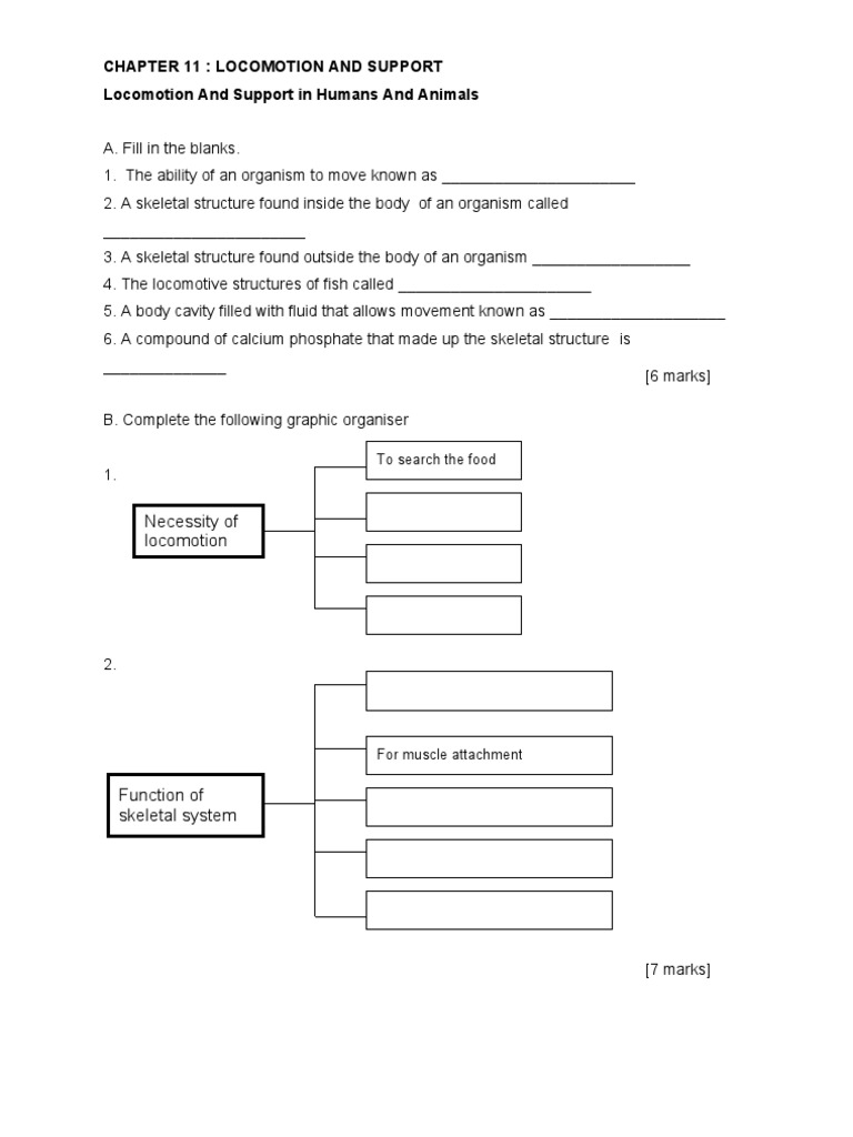 WORKSHEET 11.1 Locomotion and Support in Humans and Animals | PDF ...