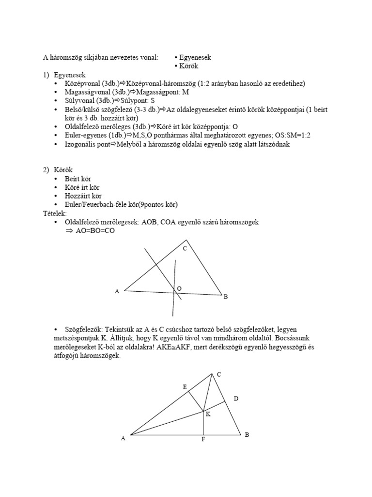 4629 A Haromszogek Nevezetes Vonalai Es Pontjai | PDF
