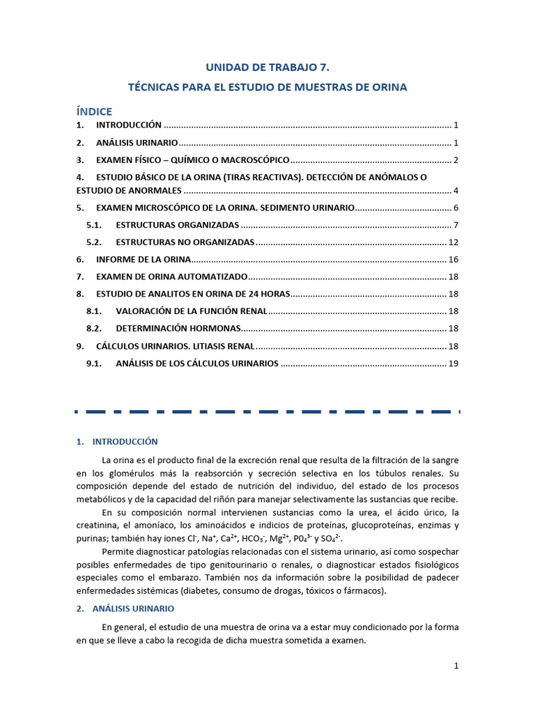 UT 7. Técnicas para El Estudio de Muestras de Orina 20-21 | PDF | Orina ...