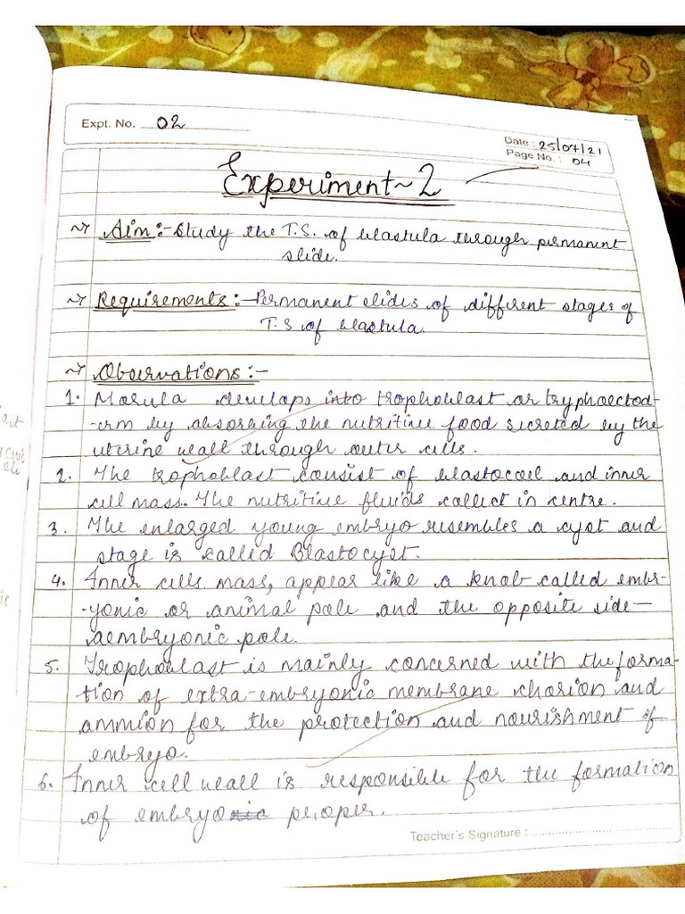 Bio Practical 2 | PDF
