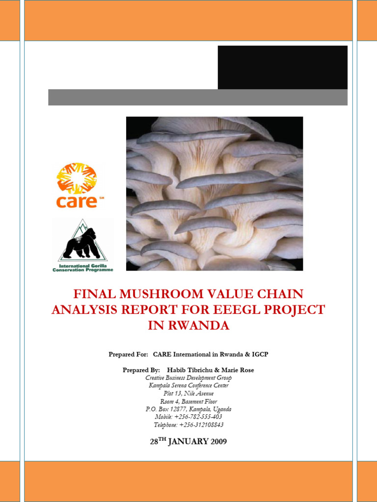 Final Mushroom Value Chain Analysis Report Rwanda Jan 2009 | PDF ...