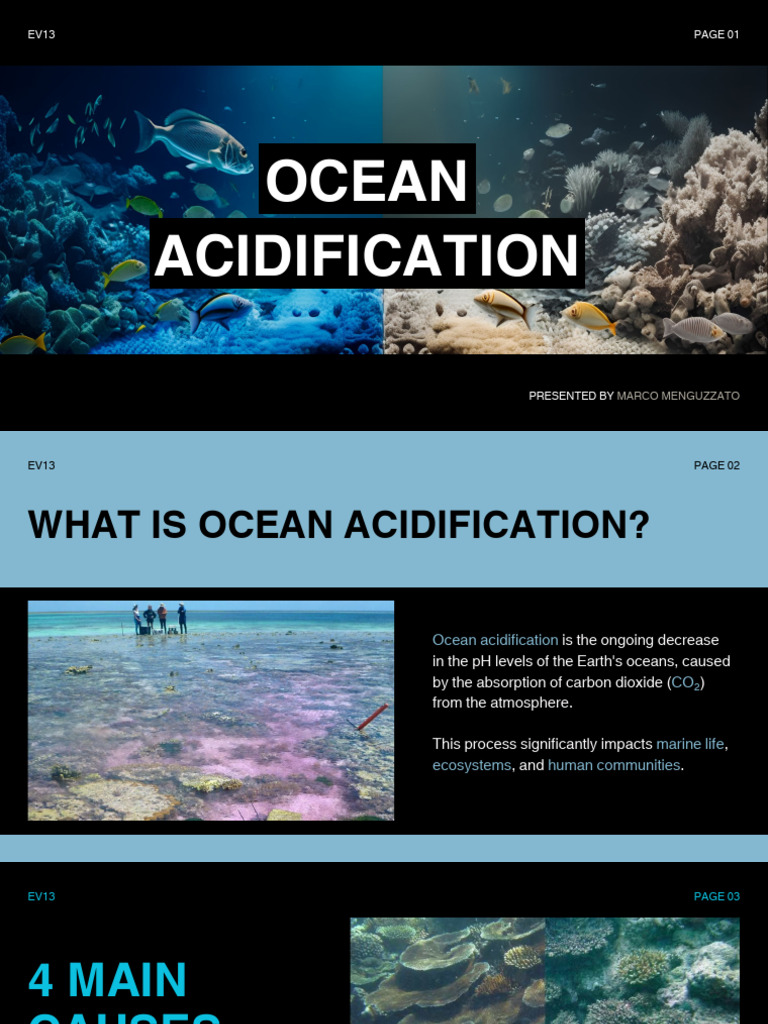 OCEAN ACIDIFICATION | PDF | Ocean Acidification | Oceans