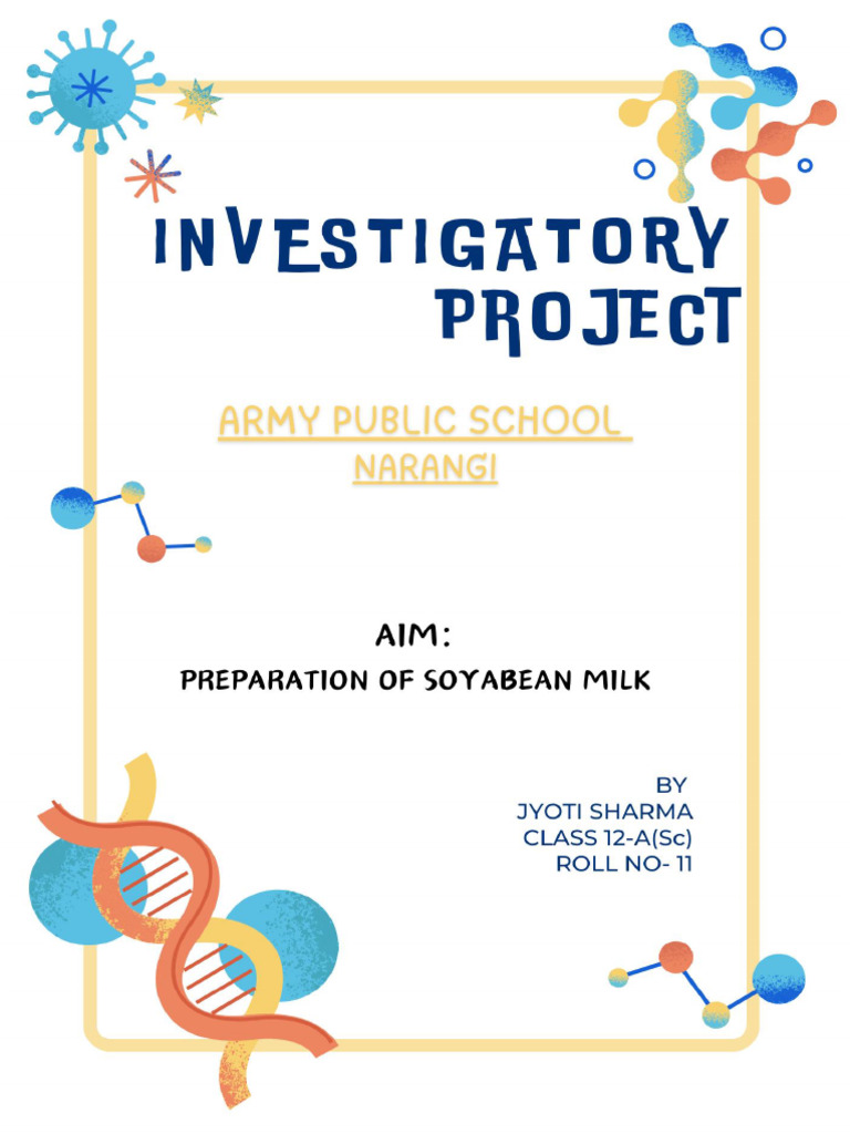 Chemistry Investigatory Project-Making Plastic From Starch Final by Jyoti 2 | PDF | Milk | Soy Milk