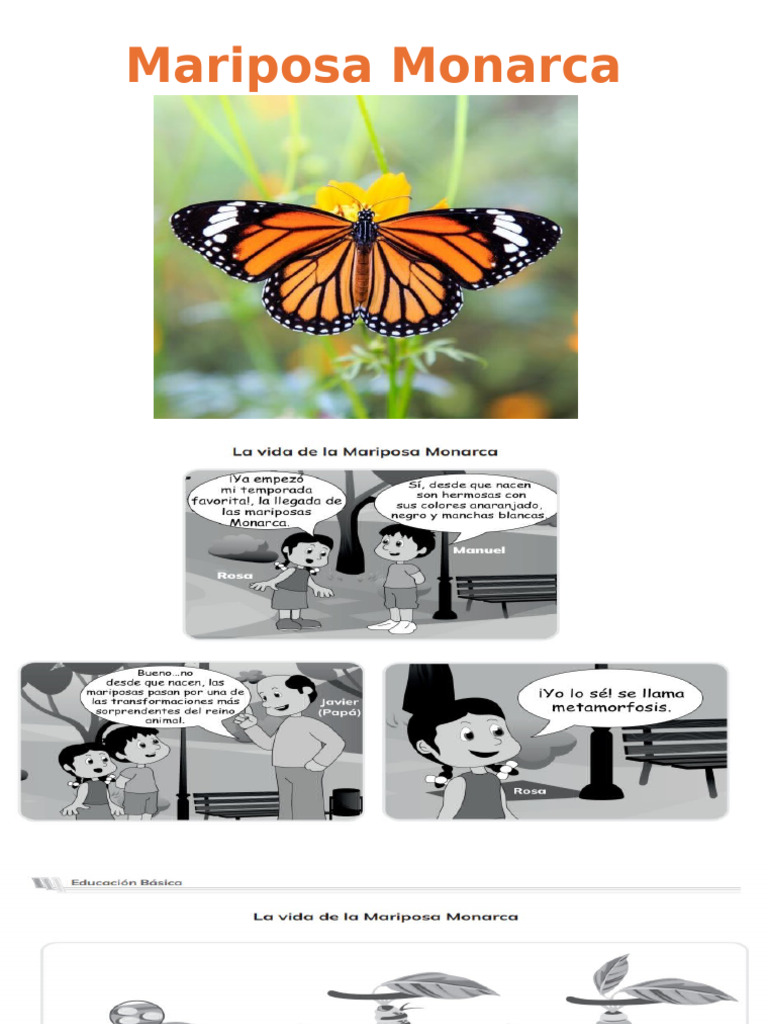 Mariposa Monarca | PDF