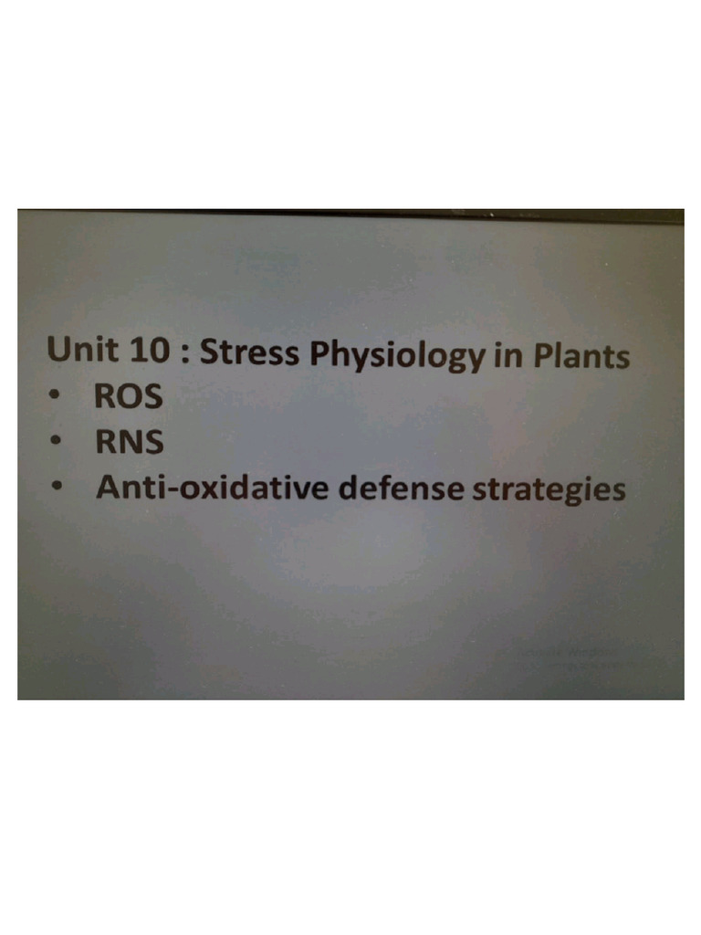 Stress Physiology Bot Theory | PDF