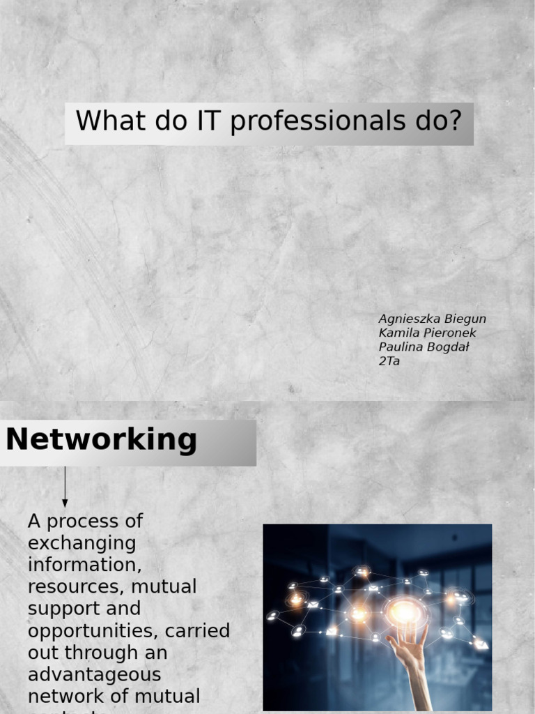 IT Professionals | PDF