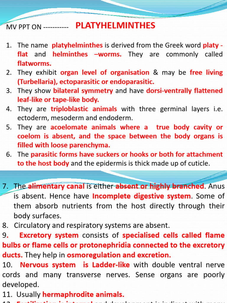 Platyhelminthes &aschelminthes | PDF | Nematode