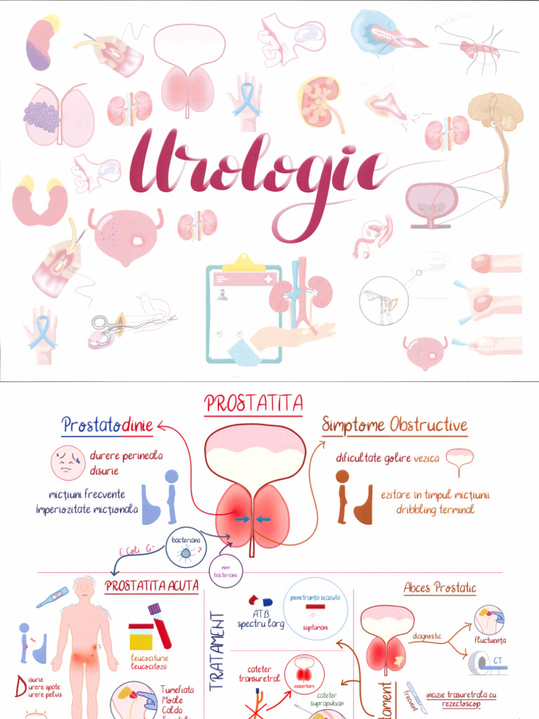 Urologie LOGIA | PDF