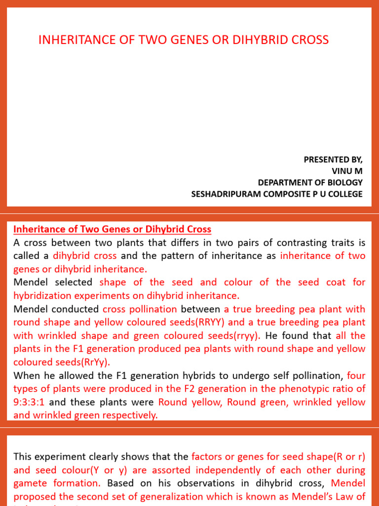 Inheritance of Two Genes or Dihybrid Cross | PDF | Genetics ...