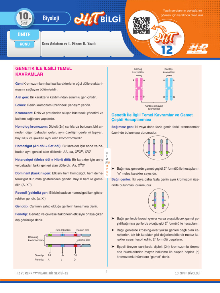 10 Bi̇yoloji̇ 1D 2y Hi̇t | PDF