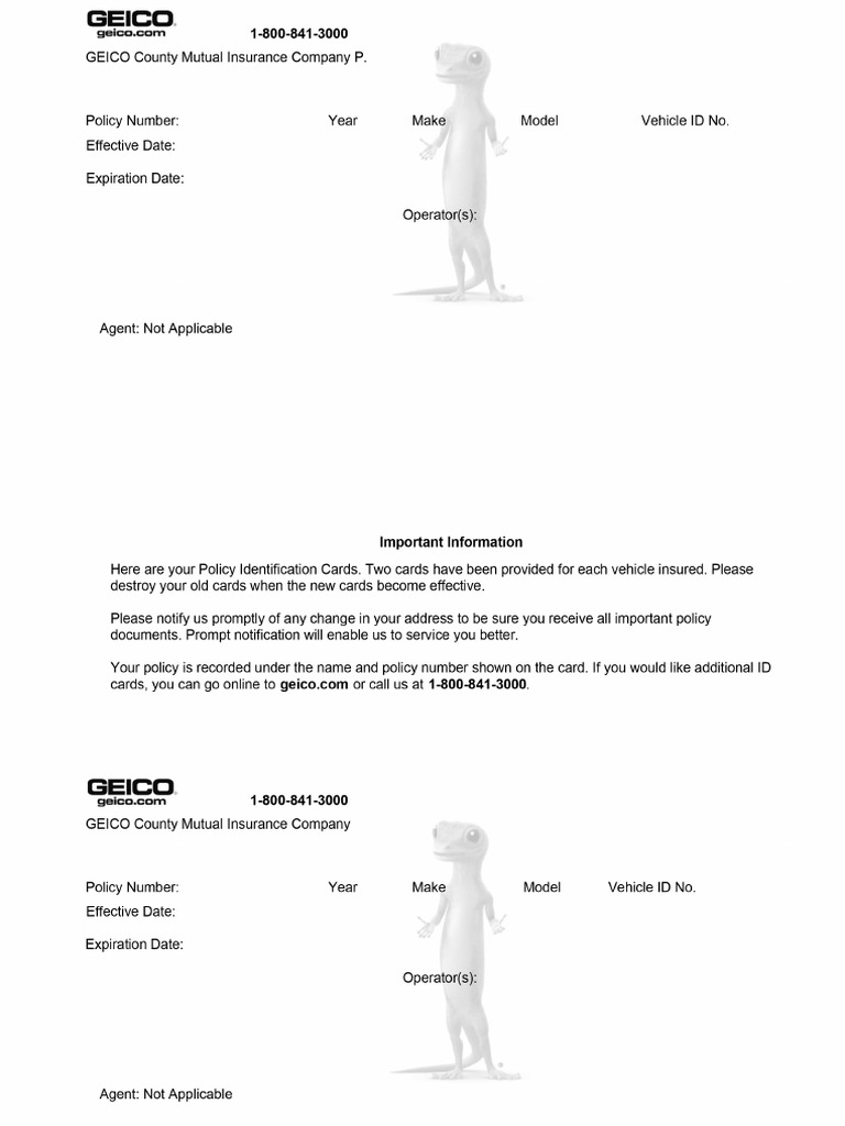 File - Aseg Geico Il Share | PDF | Vehicles | Business Law