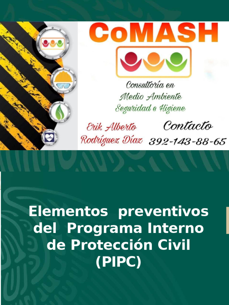 Programa Interno de Protecci N Civil | PDF | Defensa Civil
