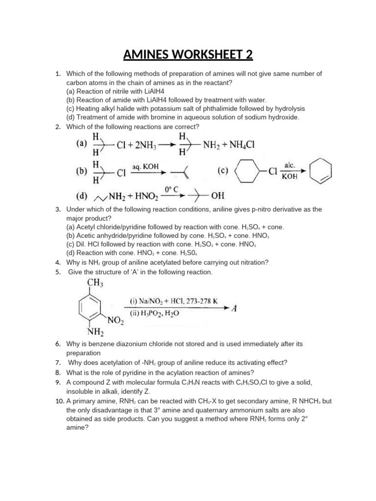 WORKSHEET AMINES 2 | PDF | Amine | Organic Chemistry