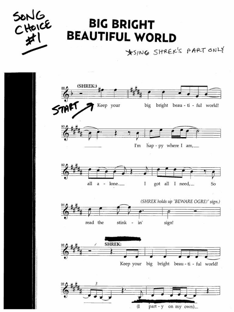 Big Bright Beautiful World | PDF