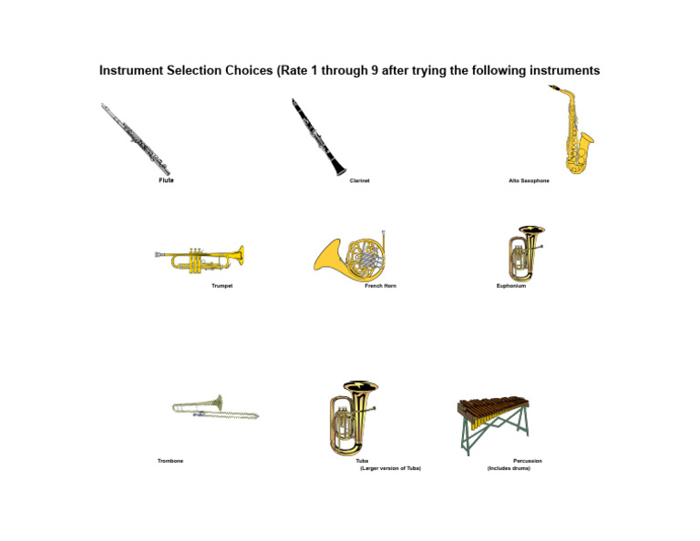 Instrument Selection Choices - Google Docs | PDF