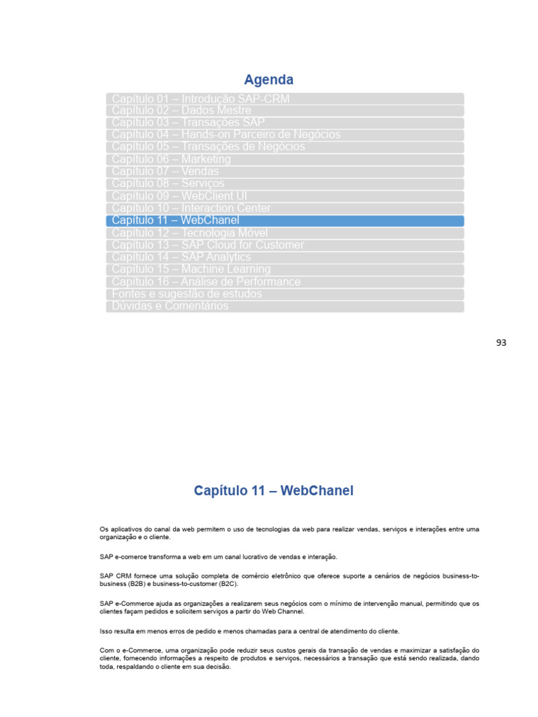 CRM WEB UI - Introdução XI | PDF