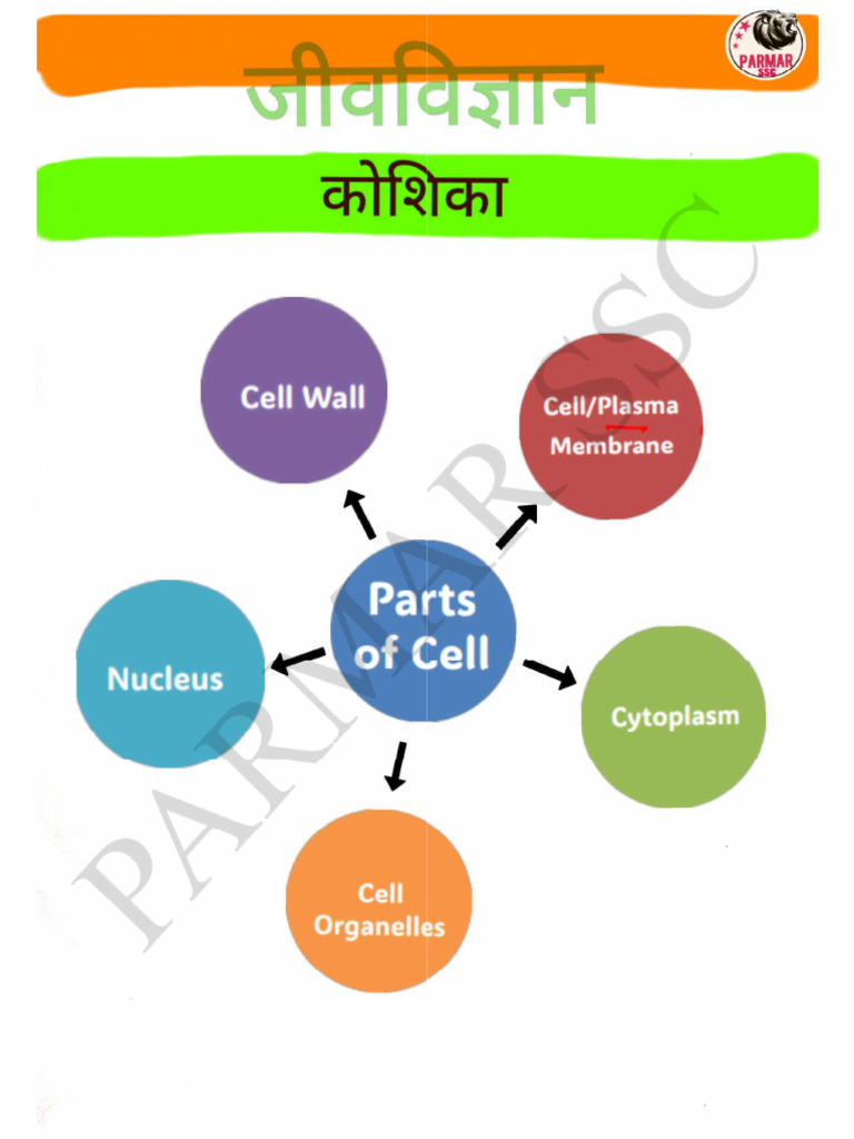 LECTURE 01 HINDI NOTES CELL | PDF