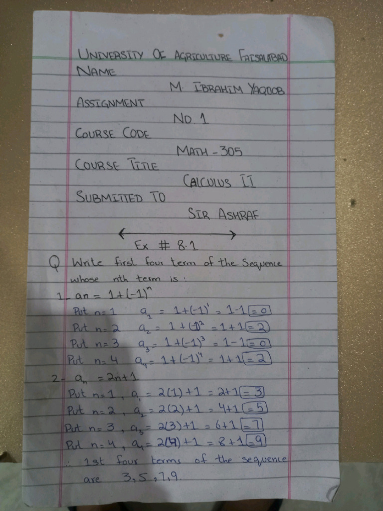 Math 305 Full Assignment | PDF