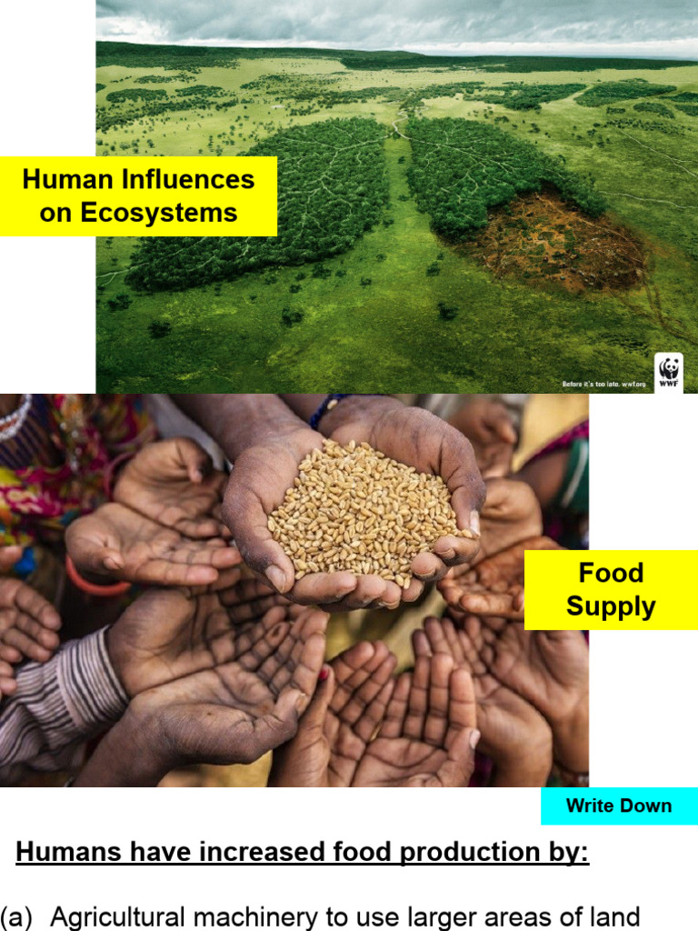 Human Impact on Ecosystems and Biodiversity | PDF | Eutrophication ...
