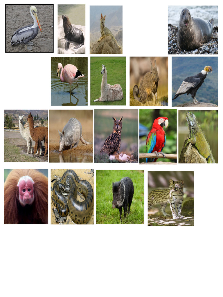 WPS Docs Quick Start Guide | PDF