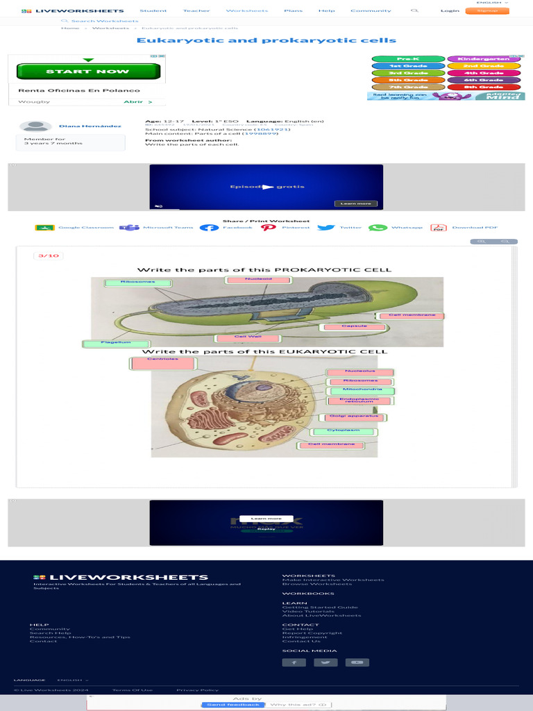 Eukaryotic and Prokaryotic Cells Worksheet Live Worksheets | PDF | Cell ...